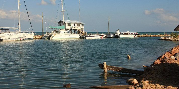 The Belize Foundation – The Belize Foundation is dedicated to help ...